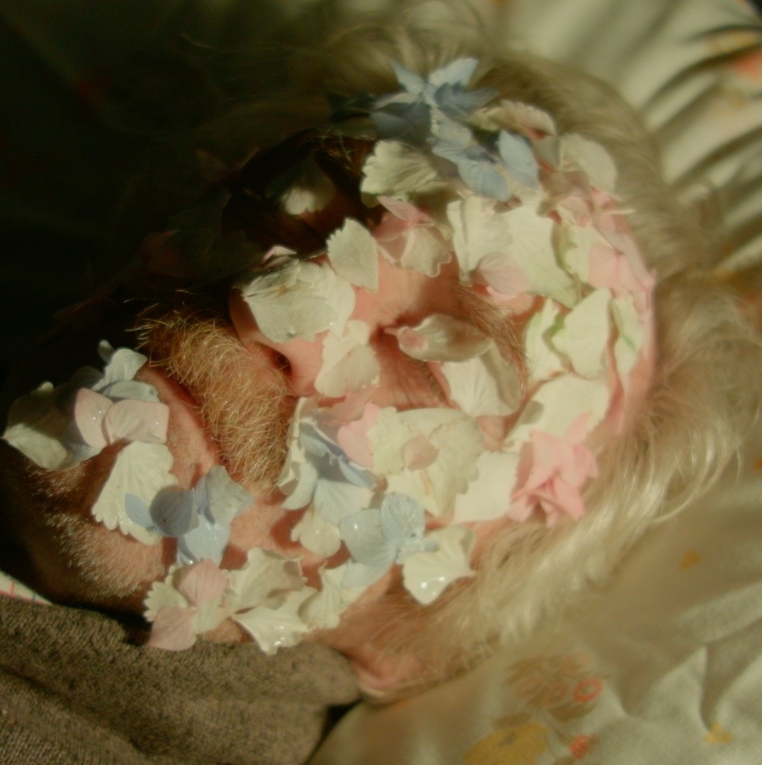 Jennifer Walshe, Panos Ghikas and Wobbly - Sonorities 2024